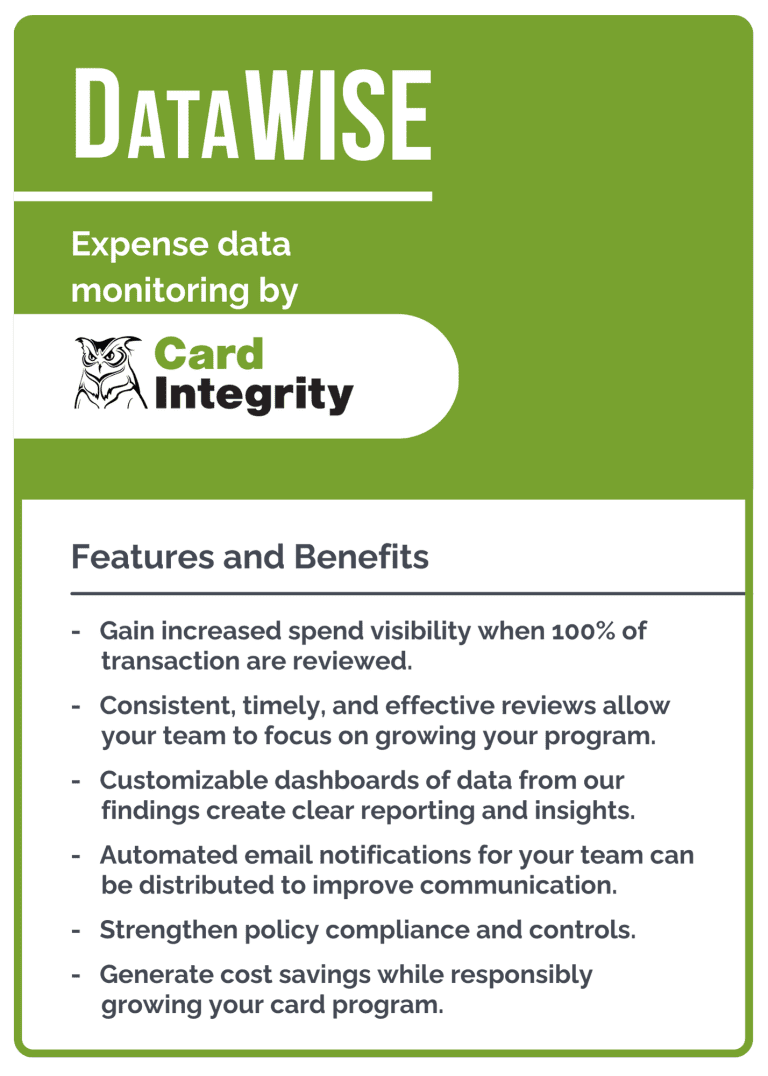 DataWISE - Expense Monitoring Service